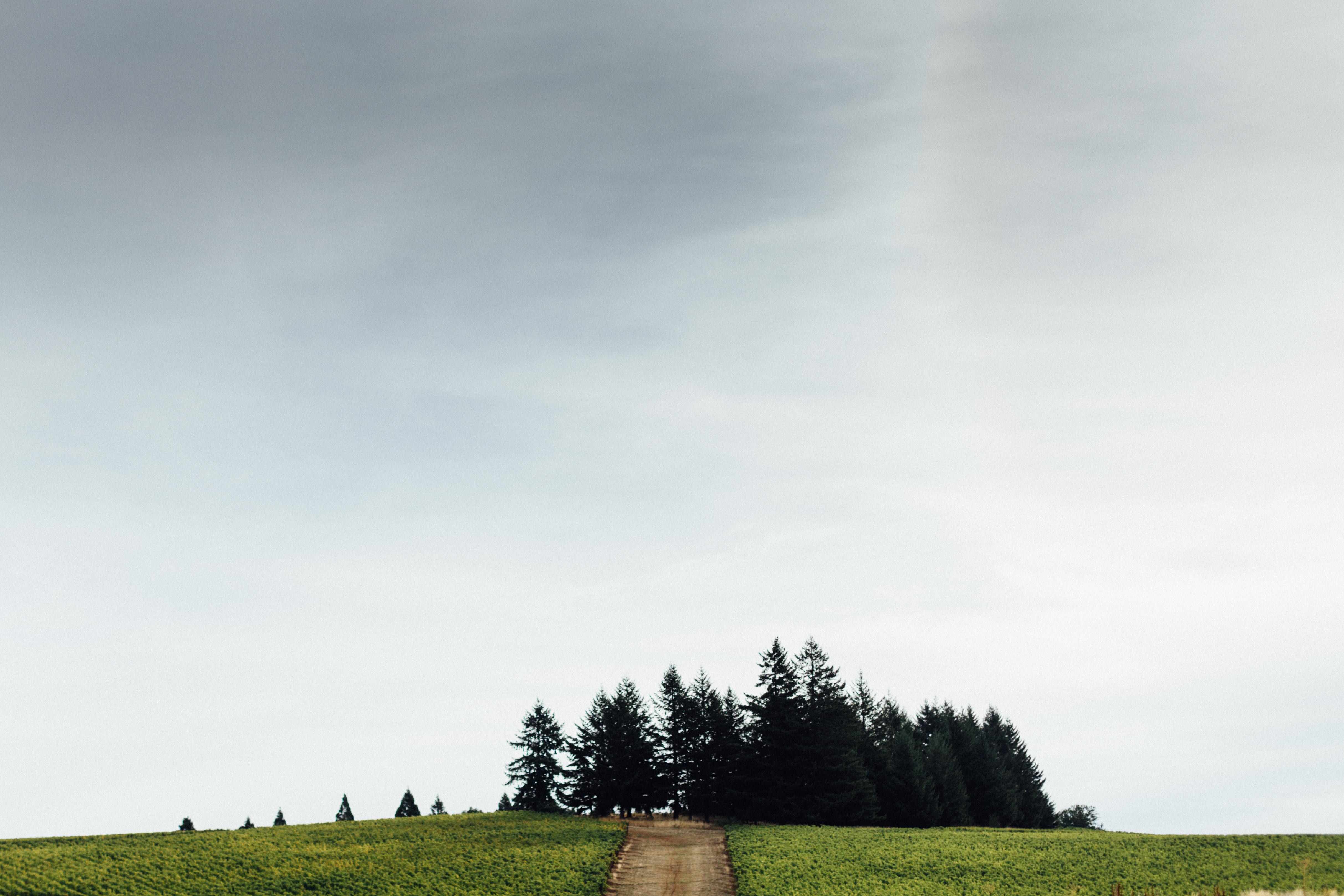 Zena Crown - Travel Oregon