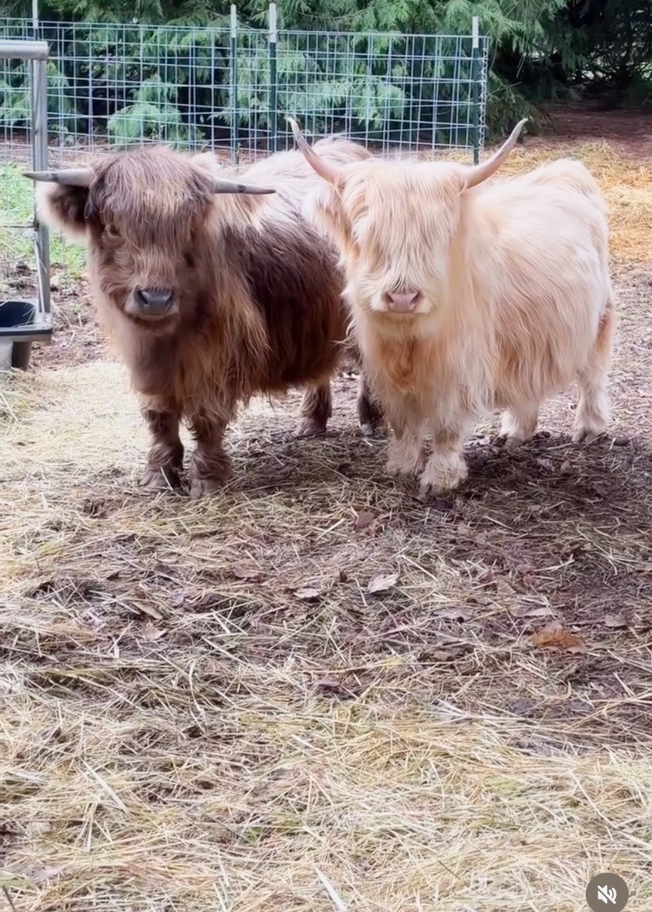 Bonnell Family Farms - Travel Oregon