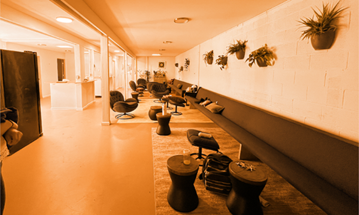 Shrooms Cafe | Travel Southern Oregon