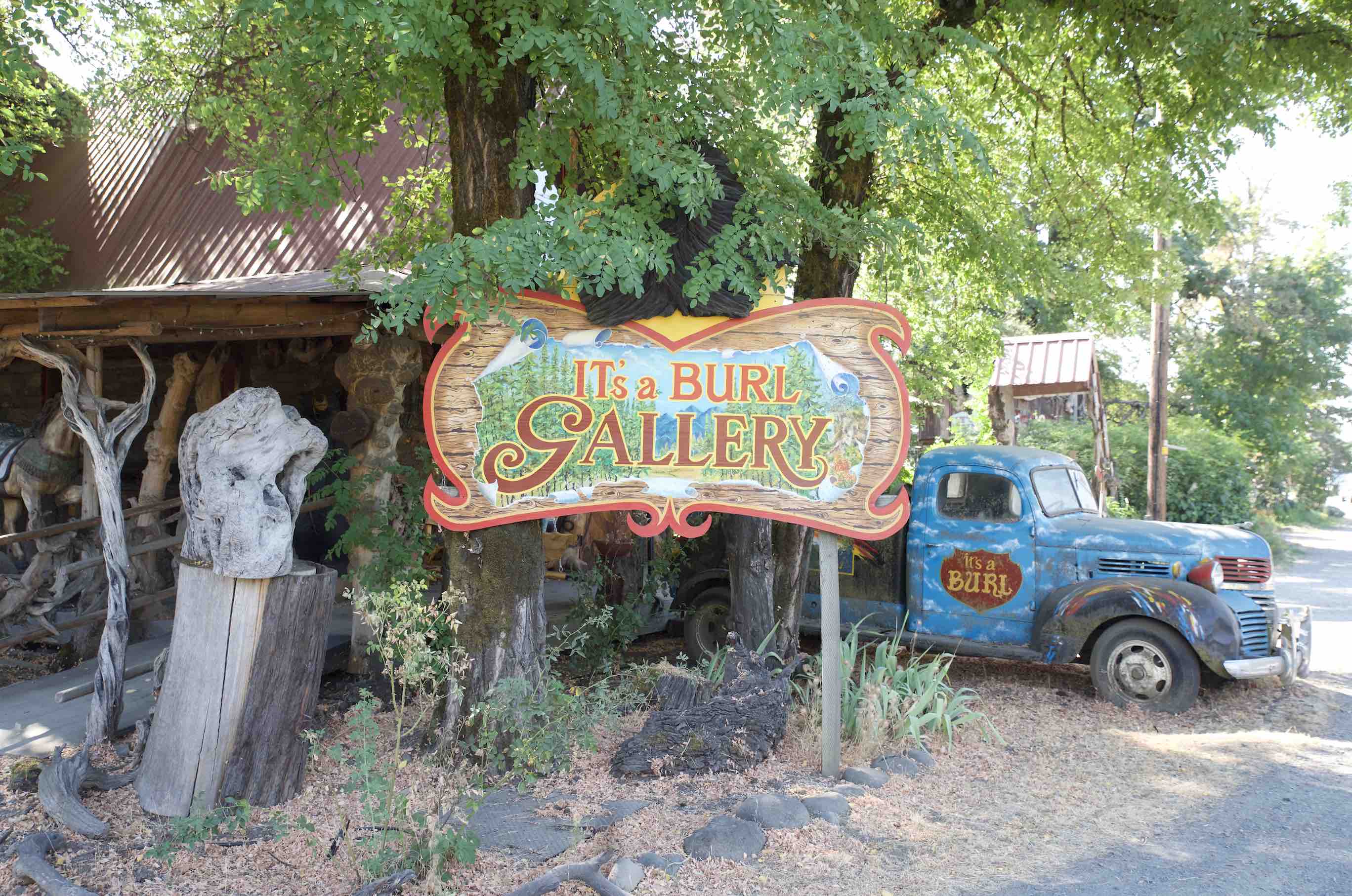 It's a Burl - Travel Oregon