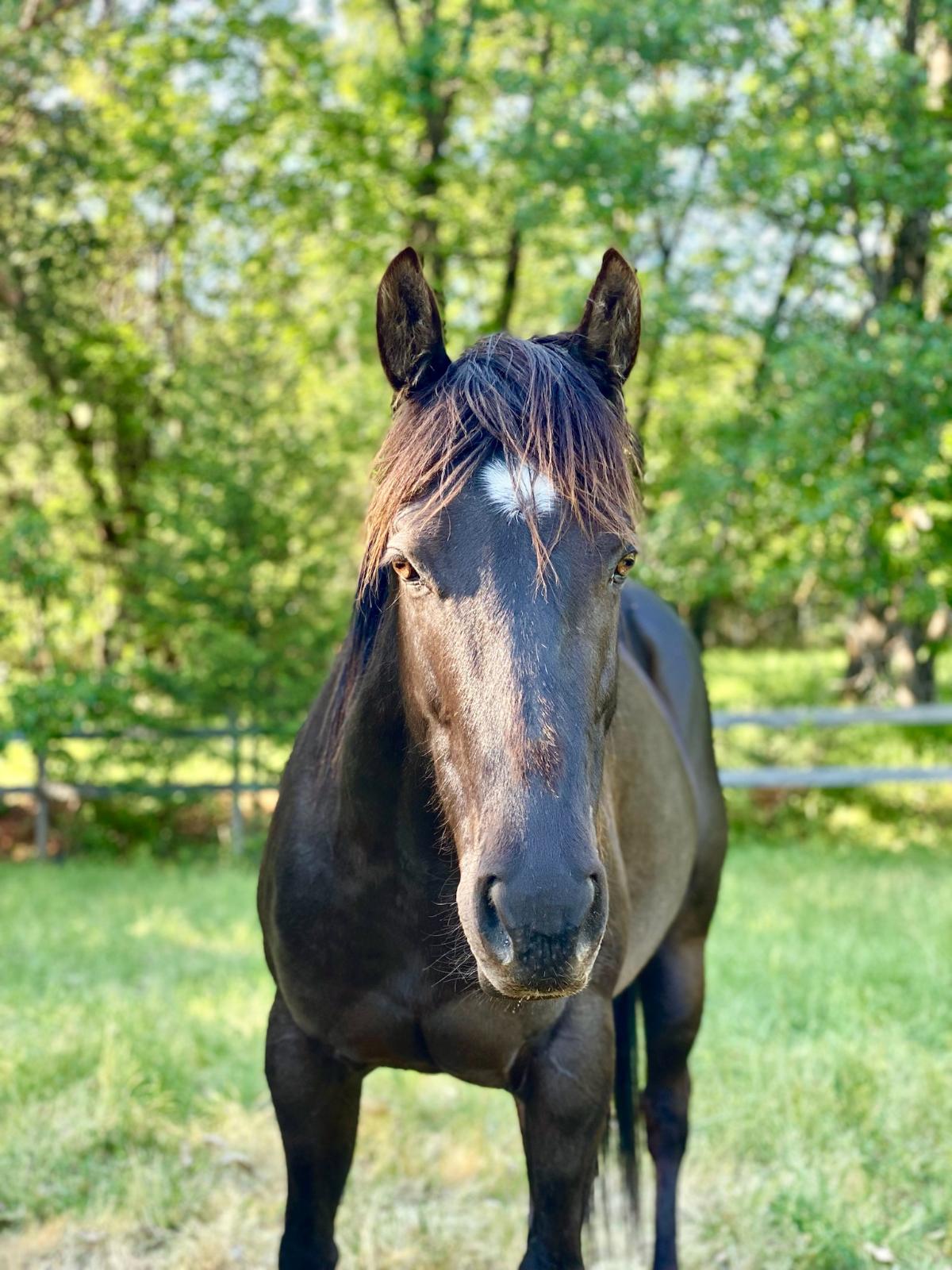 Ruby Ridge Ranch | Travel Southern Oregon
