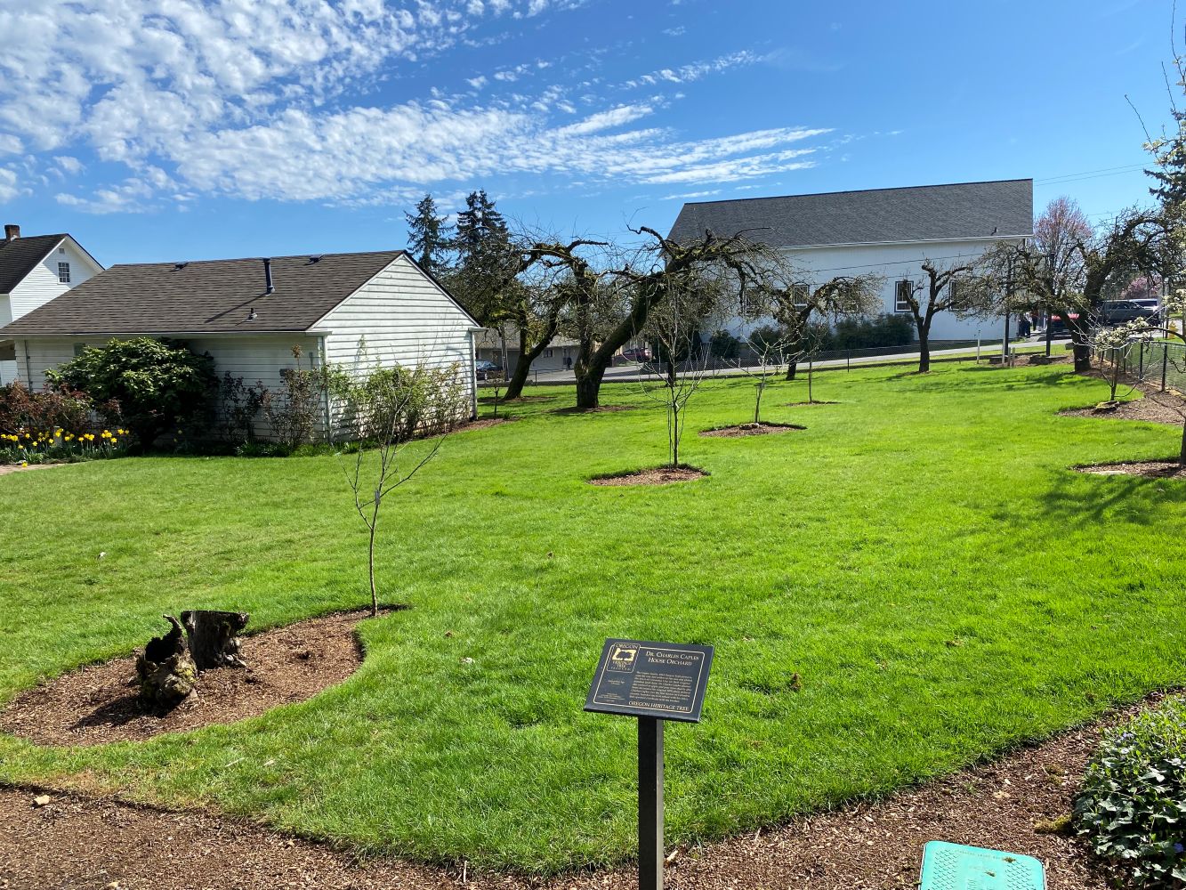 Dr. Charles Caples House Orchard - Heritage Tree - Travel Oregon